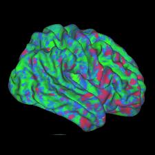 JBRL / Neonatal VBI · GitLab